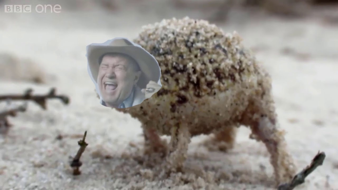 A very angry frog AHHing - YouTube