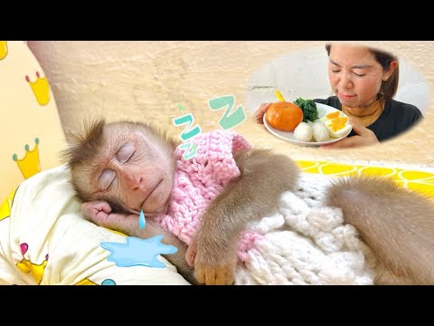 Monkey Tina is dreaming about the delicious meals her mother has prepared for her. - YouTube