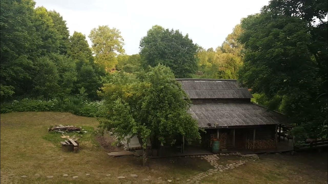 Каптаруны отдых на дикой природе 😉 природа беларусь путешествия