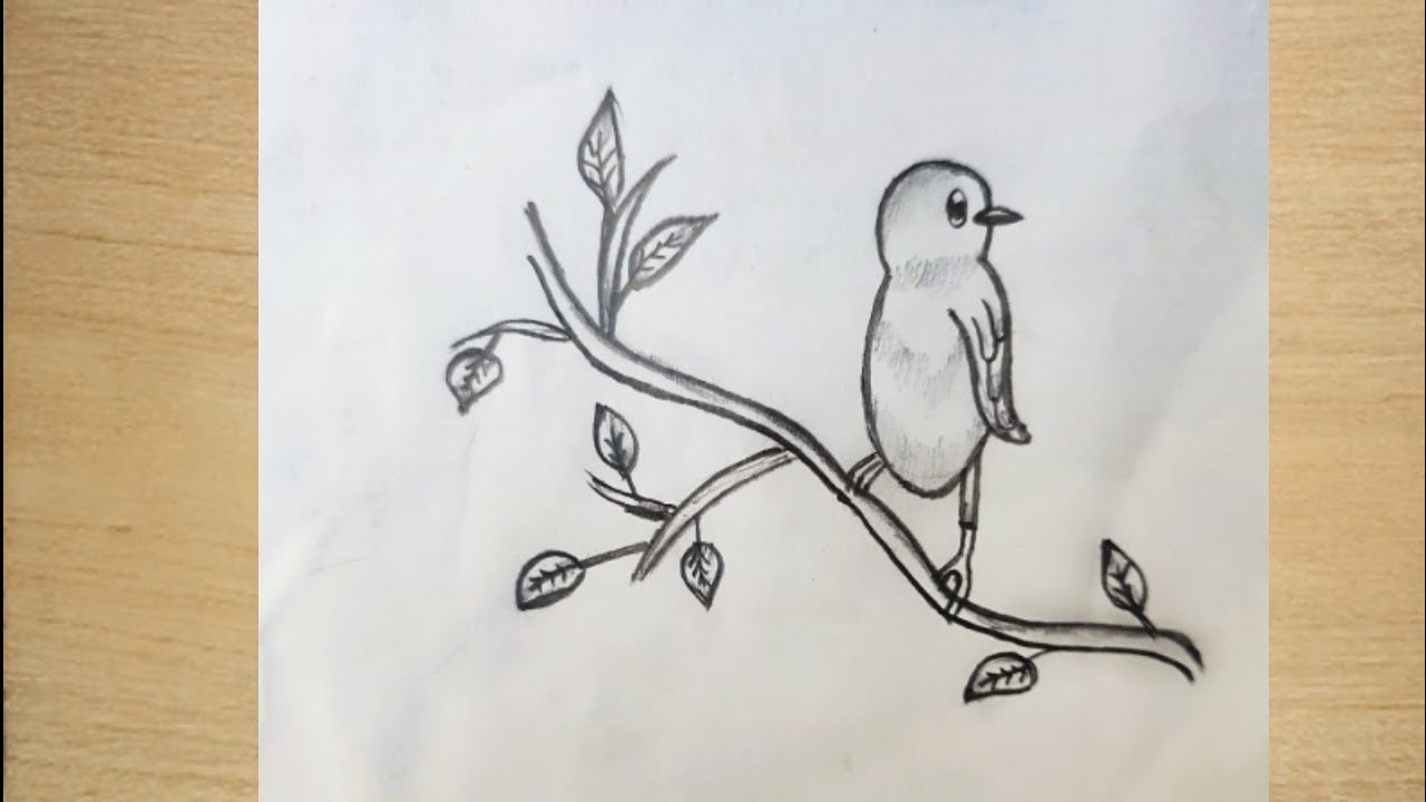 Simple and easy bird drawing | Bird drawing - YouTube