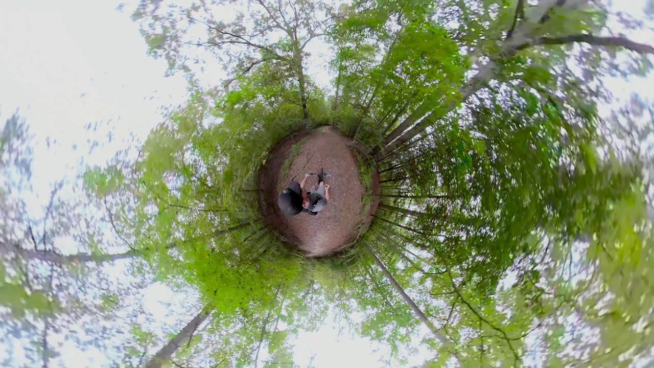 MILBURN LANDING TRAIL - POCOMOKE STATE FOREST - YouTube