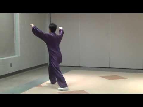 Tai Chi 24 form (back view) - YouTube