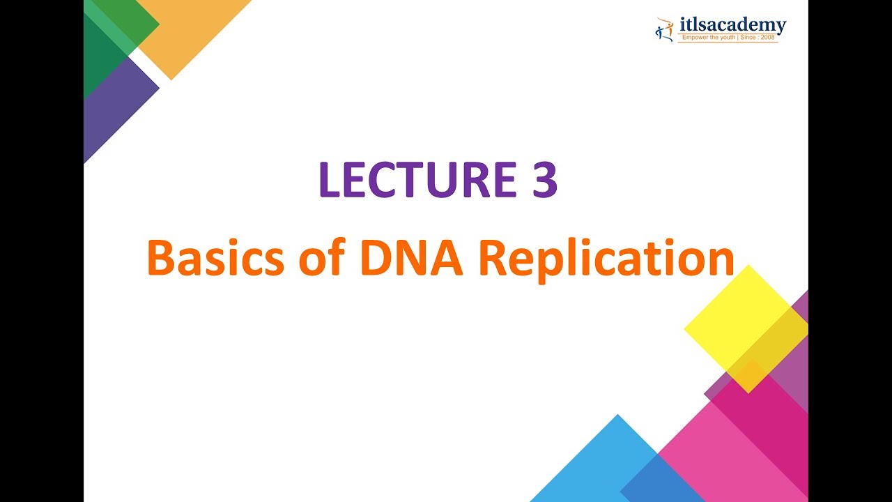 Basics of DNA Replication - YouTube