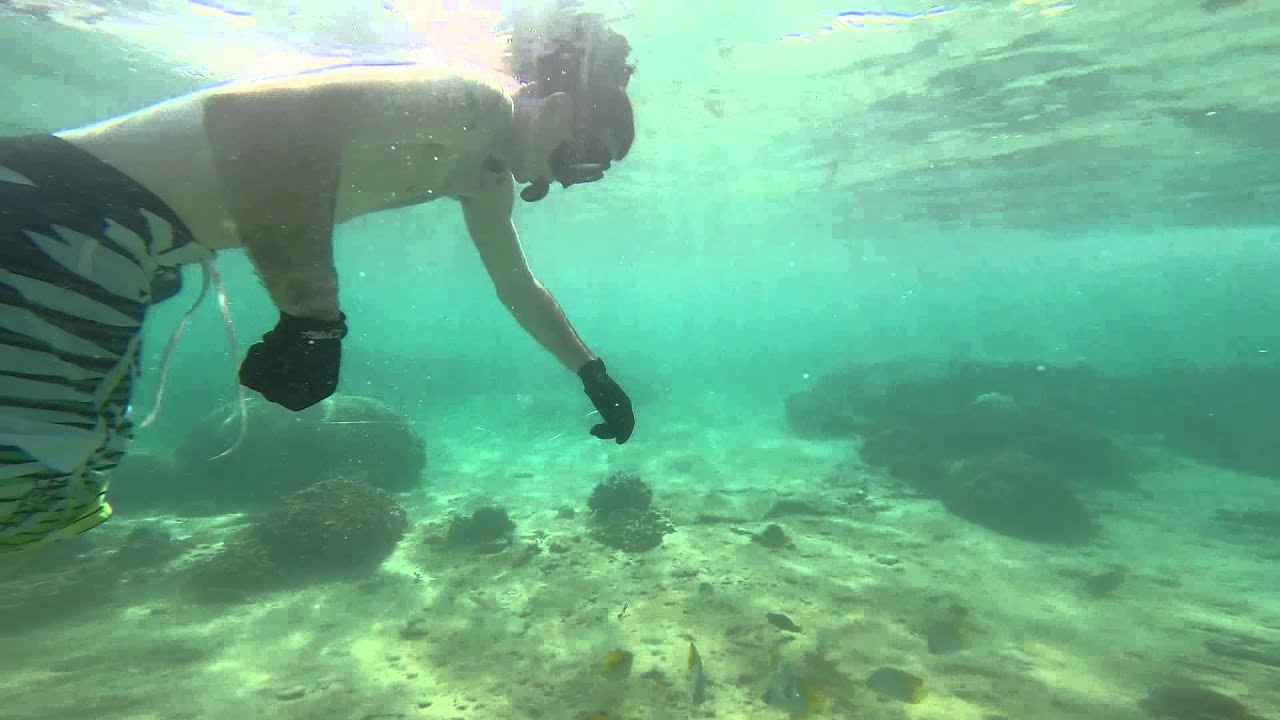 Maeda Point Snorkeling - YouTube