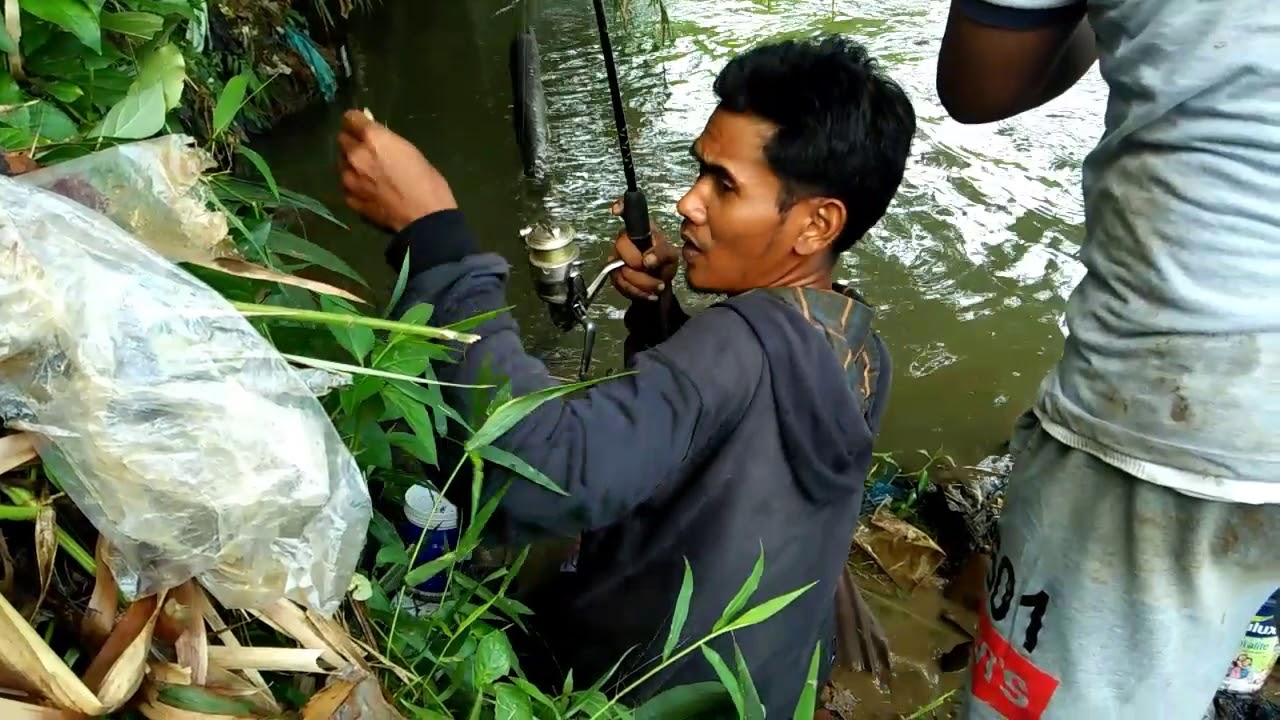 Keseruan mancing ikan nila babon d sungai larangan..... - YouTube