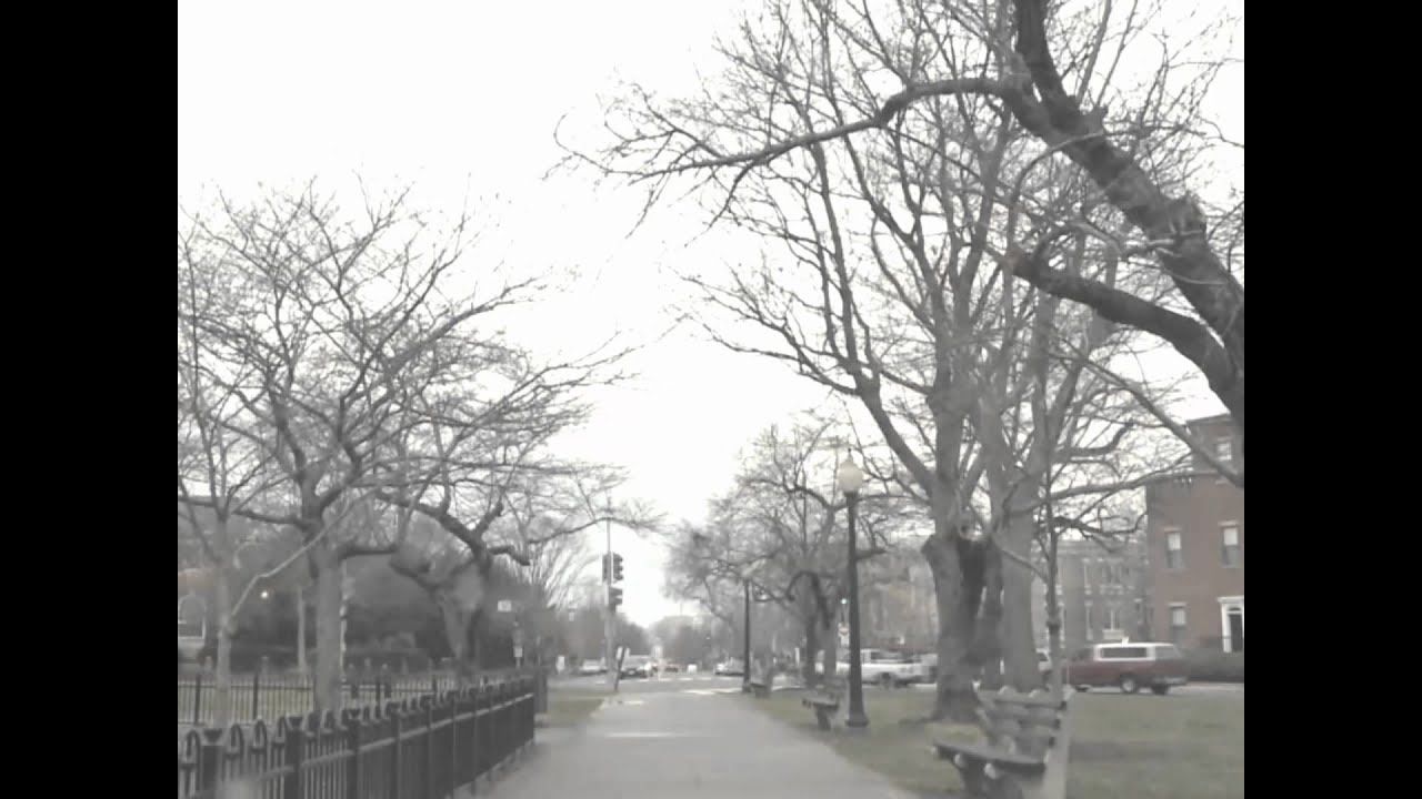 Stanton Park, Washington, DC - YouTube