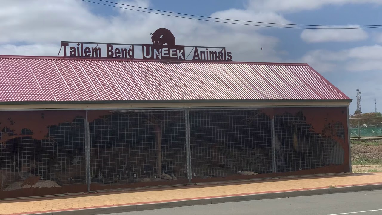 Tailem Bend Uneek Animals - YouTube
