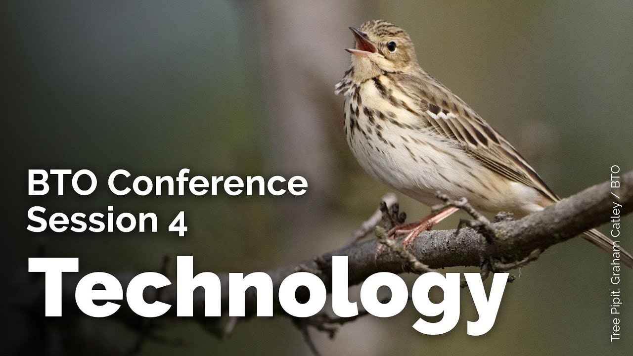 BTO Conference 2021: Session 4 - New Advances in Technology - YouTube