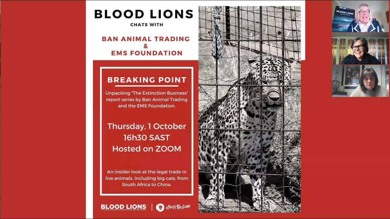 Breaking Point: Unpacking "The Extinction Business" report series ...