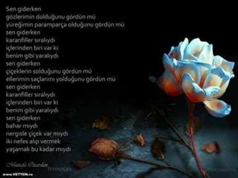 sen Bittin artik