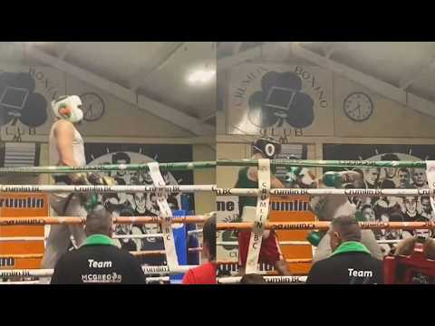 Conor McGregor's First Exhibition Fight In A While