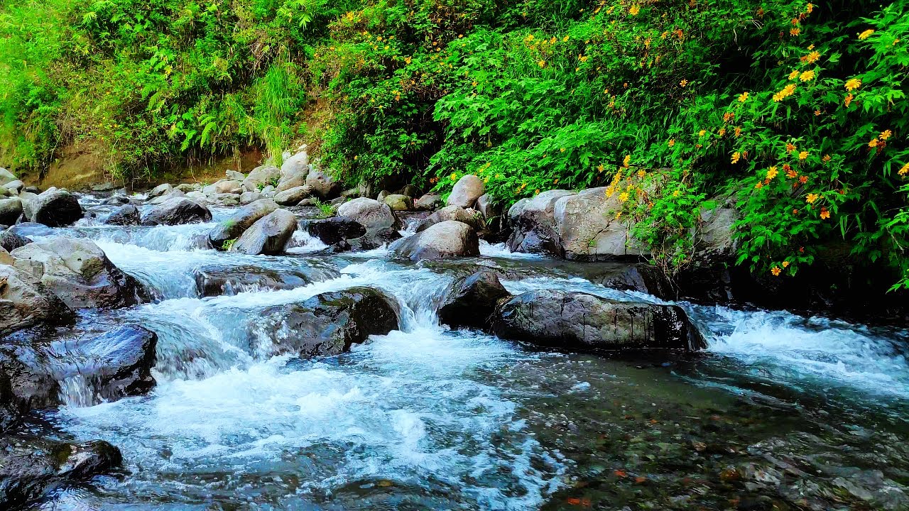 Beautiful Mountain River Flowing Sound, Nature Sounds for Relaxation ...