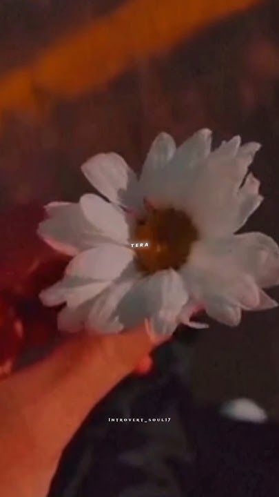 Tera Chehra 🌜 | Lyrics Editz | Introvert Soul #music #lyricsvideo #aestheic #status #love #song ...