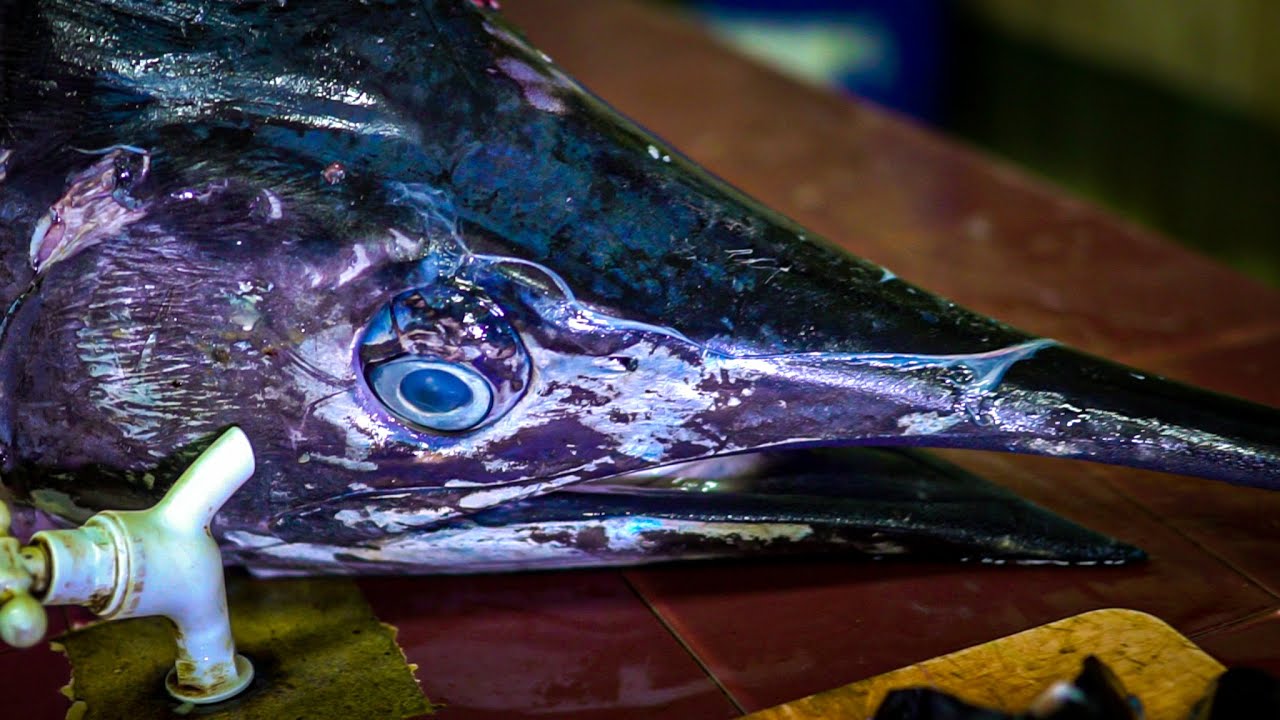 Big Marlin gets cut into small pices for dried fish in Maldives Cutting ...