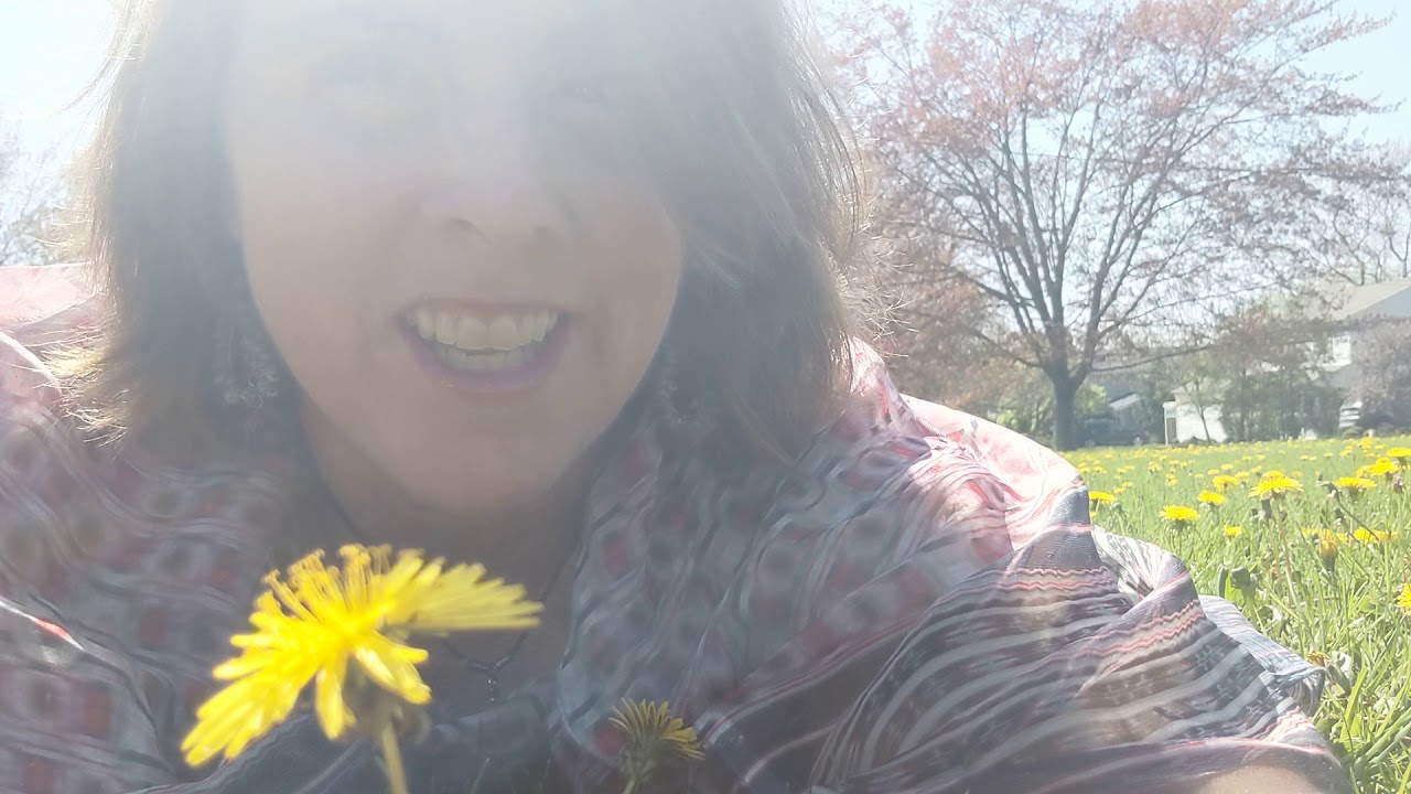 Dandelion People - YouTube