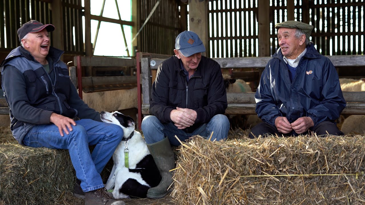Sheepdog Memories: A conversation about Manx sheepdog trials - YouTube