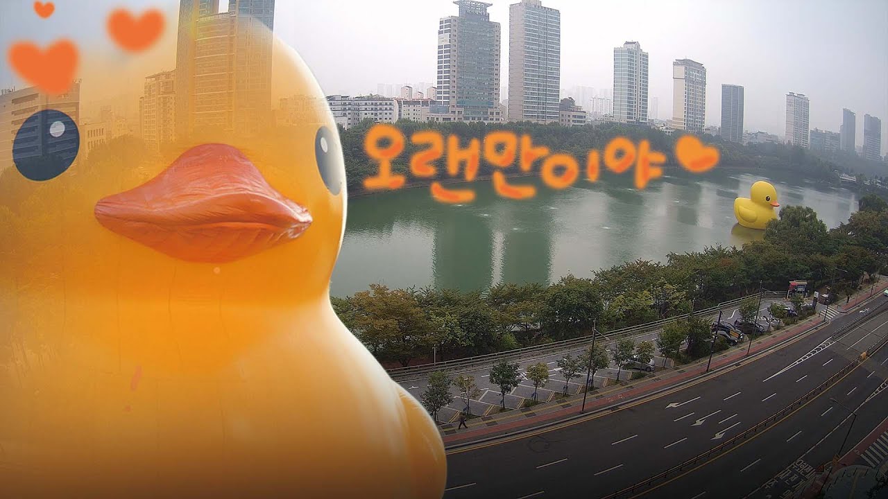 [기가행사] 안녕 나는 러버덕이야 I Hello I'm Rubber Duck - YouTube