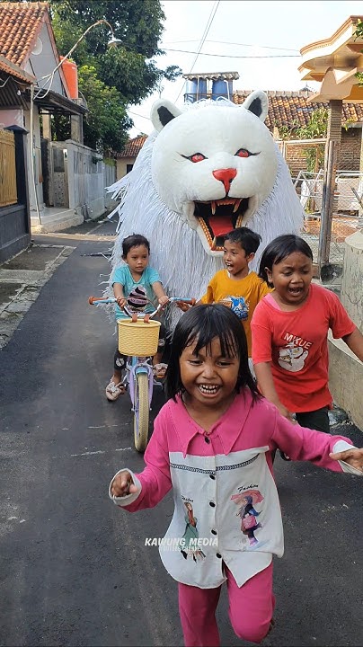 can macanan serang bocil yang lagi main - YouTube