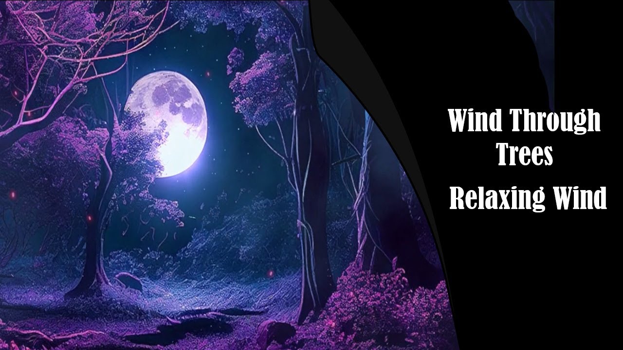 Wind Through Trees | Relaxing Wind #asmr #trees #windsound - YouTube
