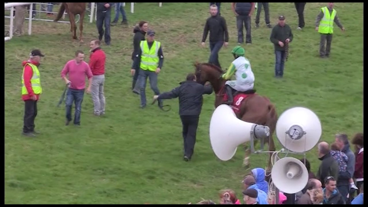 DAWN MILK DINGLE DERBY 2016 WINNER PAT TAAFFE - YouTube