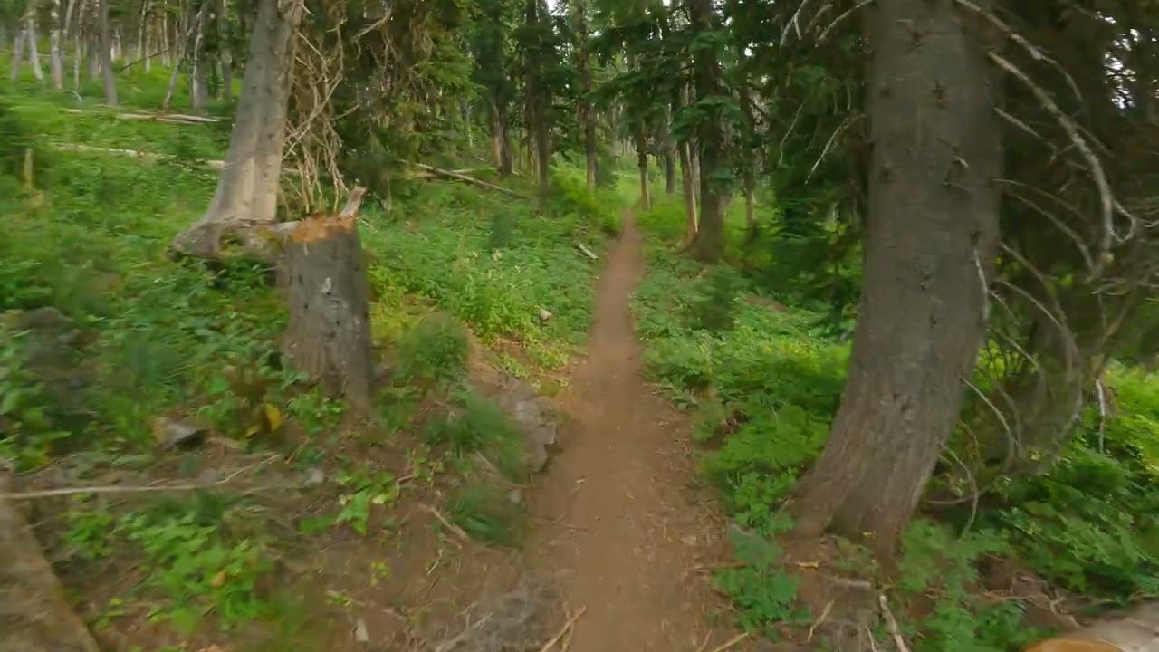 Upper Glidden Lake CC Divide Trail -- North Idaho Singletrack - YouTube
