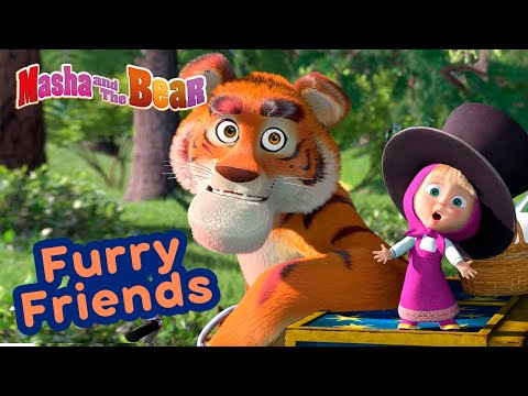 Masha and the Bear 🐯🐼 FURRY FRIENDS 🐼🐯 Best episodes collection 🎬 Cartoons for kids