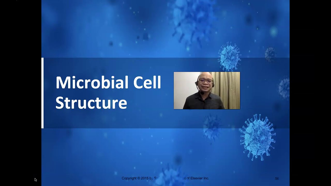Microbial Cell Structure - YouTube