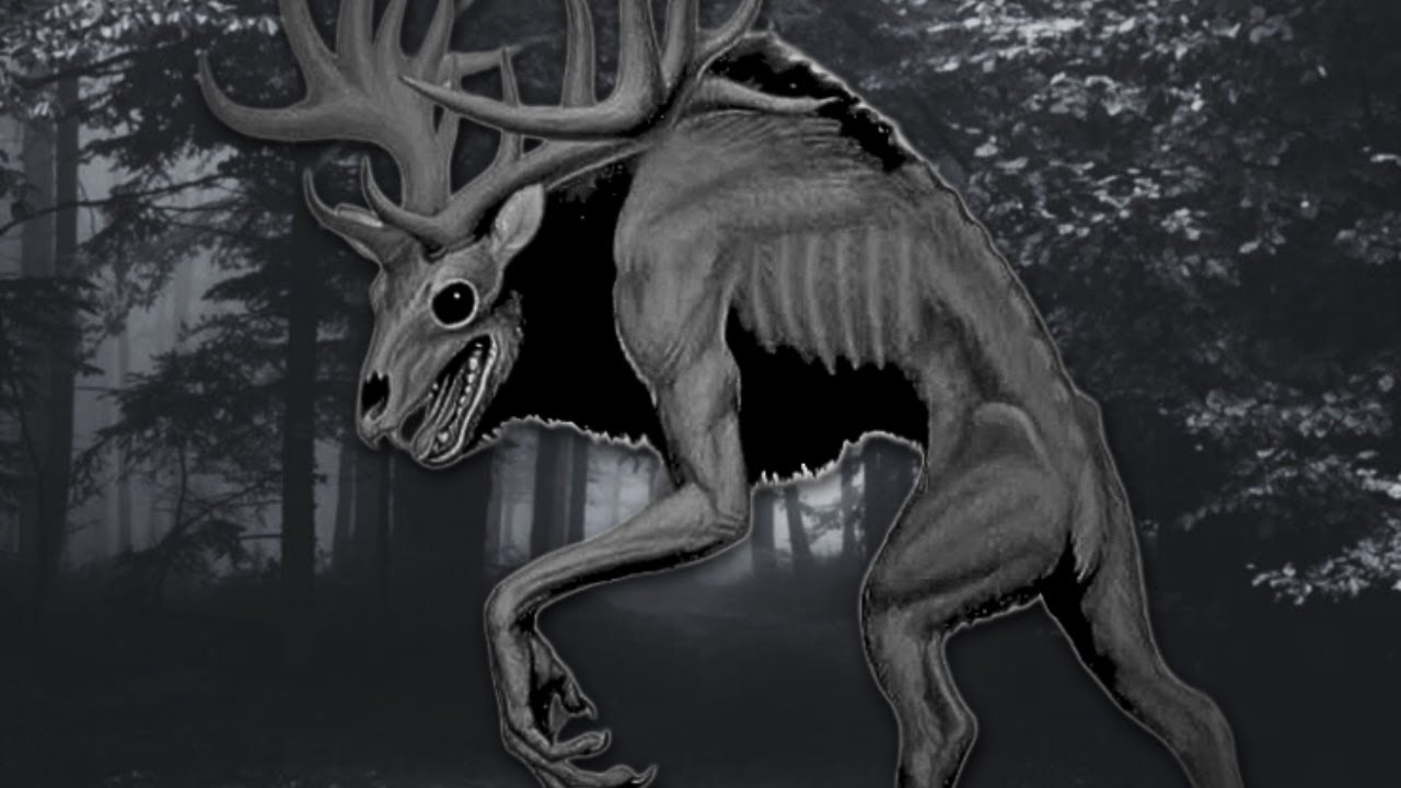 Xylophobia: The Fear of the Woods (The Phobia Series Vol. 2) - YouTube