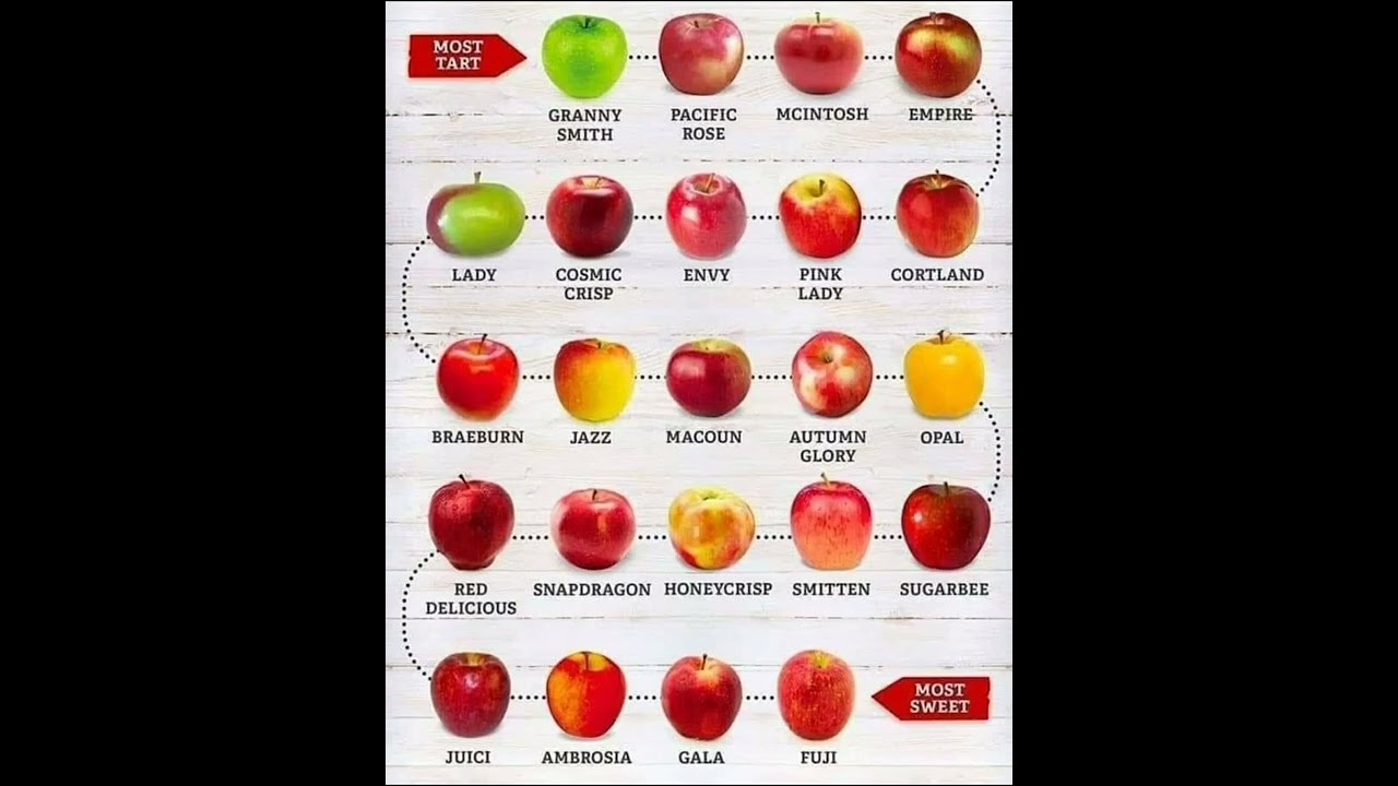 Apples: Most Tart To Most Sweet! - YouTube