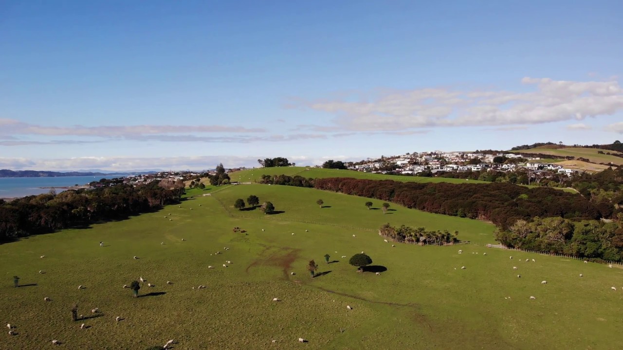 Omana Regional Park - Auckland NZ - YouTube
