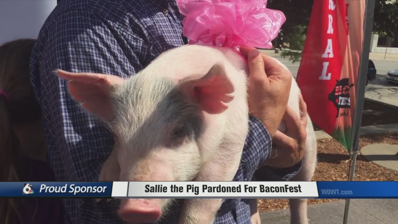 BaconFest Pig Pardon - YouTube