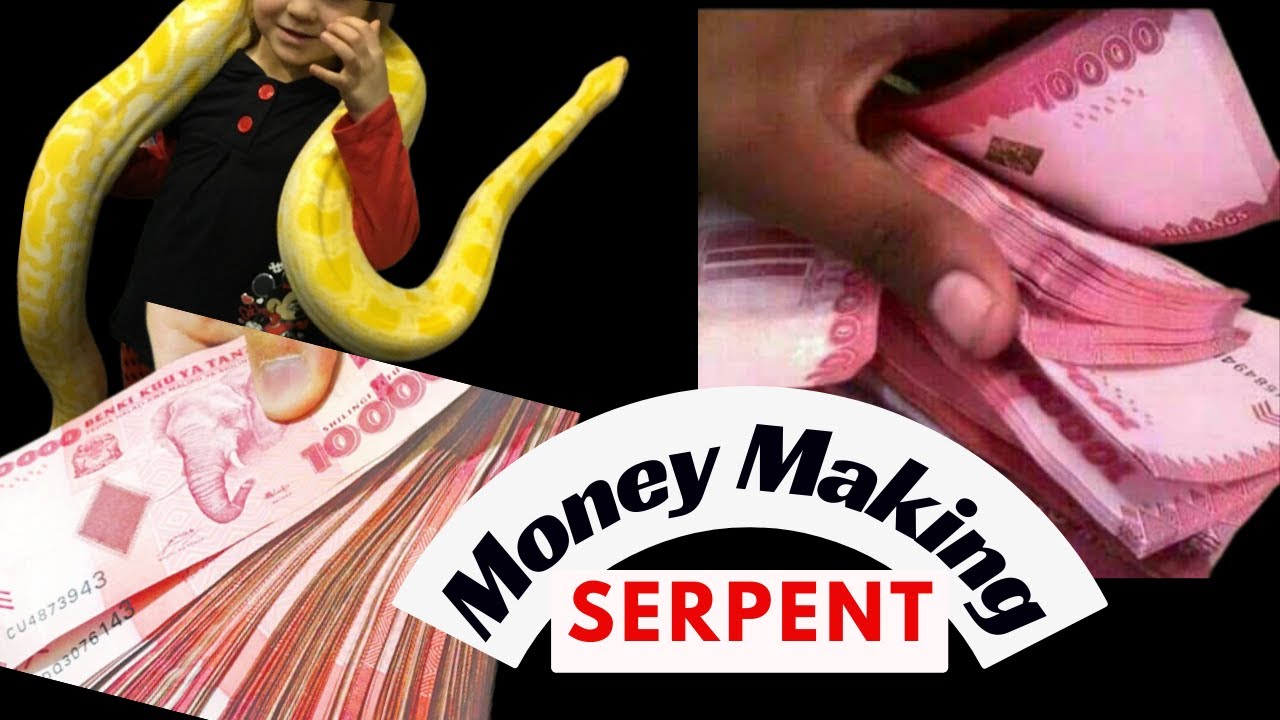 Miraculous Money Snake: Latifa Musa's Money-Making Serpent. - YouTube