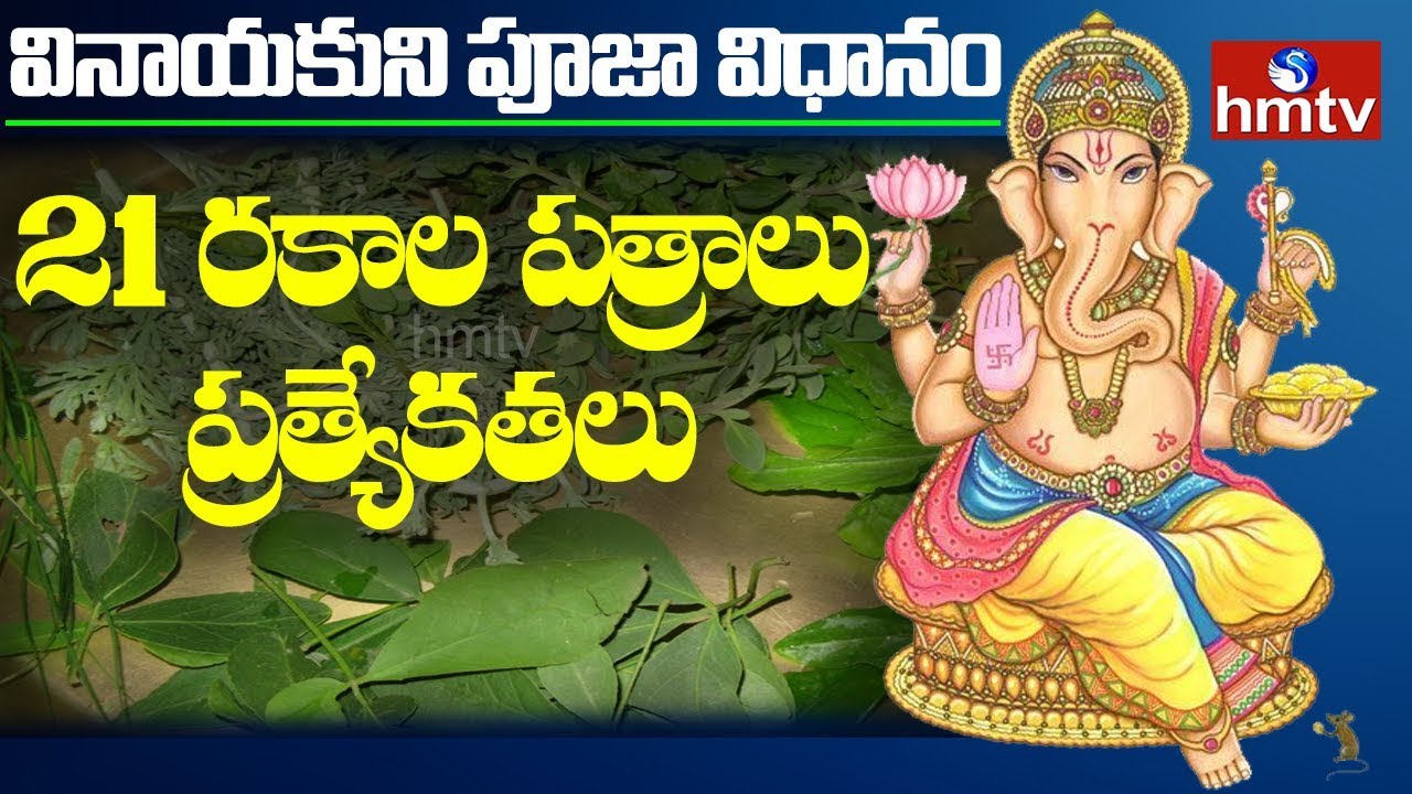 Ganesh Chaturthi Patri Puja | 21 Types Leaves for Ganesh Pooja | hmtv ...