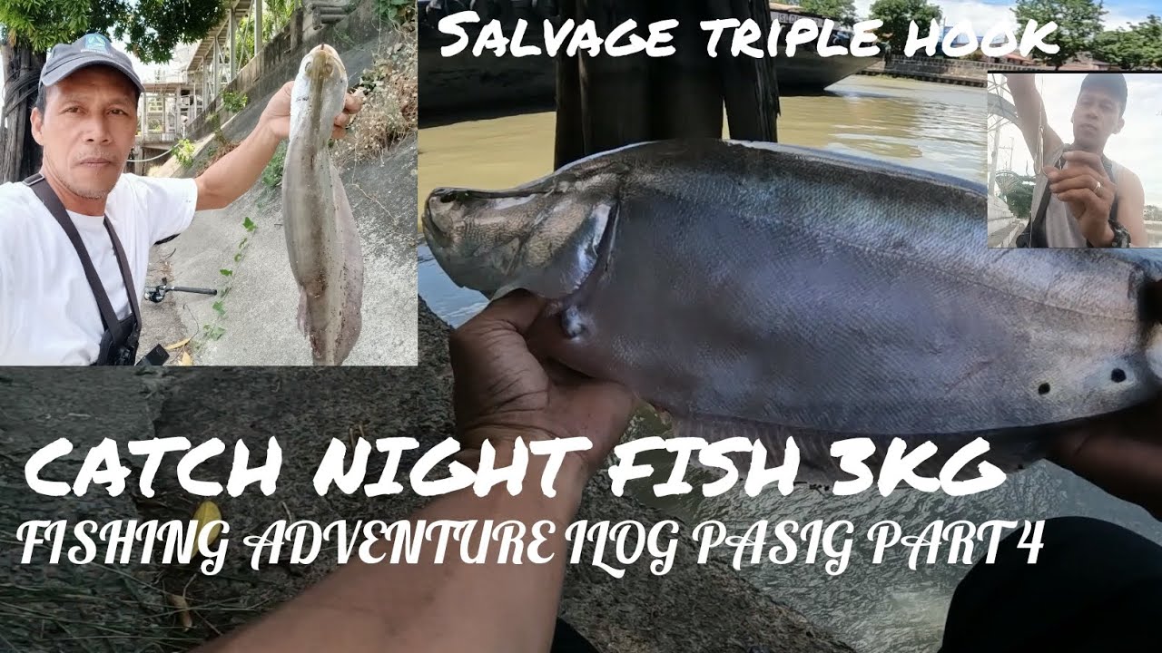 catch and release FISHING ADVENTURE ILOG PASIG WE CATCH NIGHT FISH 3KG ...