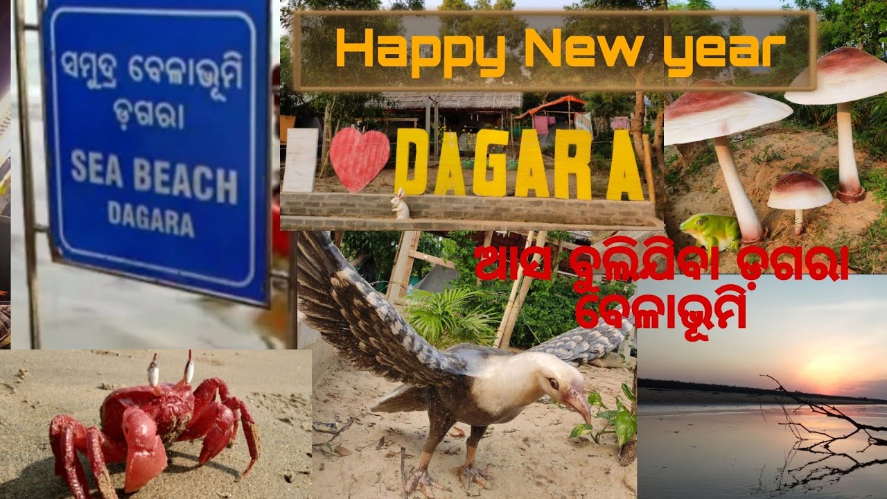 ଆସ ବୁଲିଜିବା ଆମ ଡଗରା ବେଳାଭୂମି || New Year Celebration at dagara sea ...