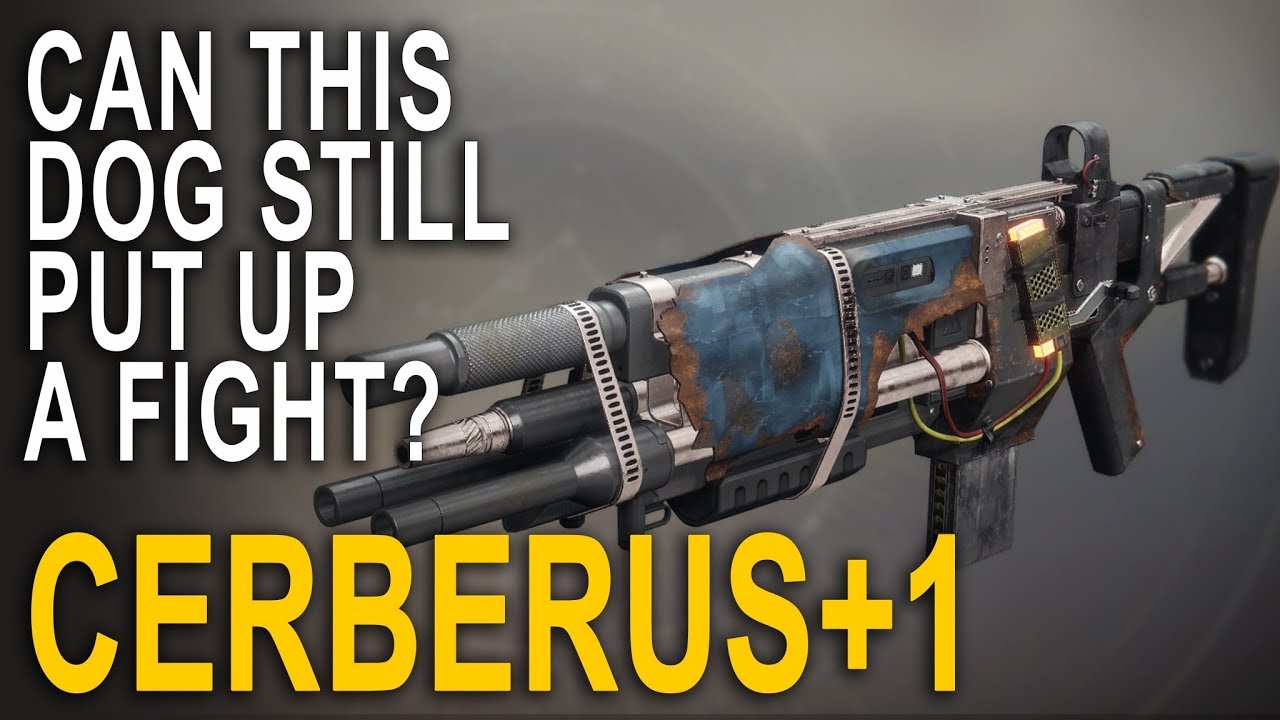 Cerberus+1 Pvp Dog Fight! Is This Crazy Exotic Auto Rifle Any Good ...