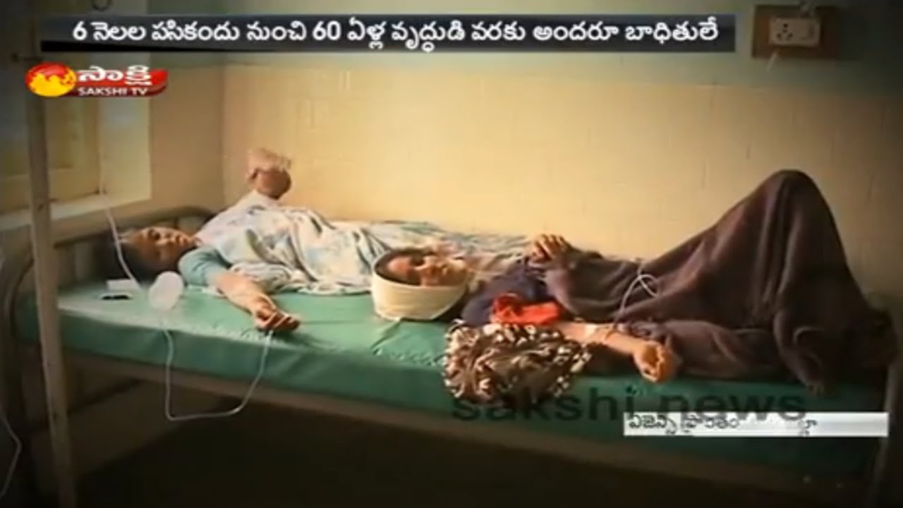 Season Fevers Hits Utnoor Agency in Adilabad District || Sakshi Special ...