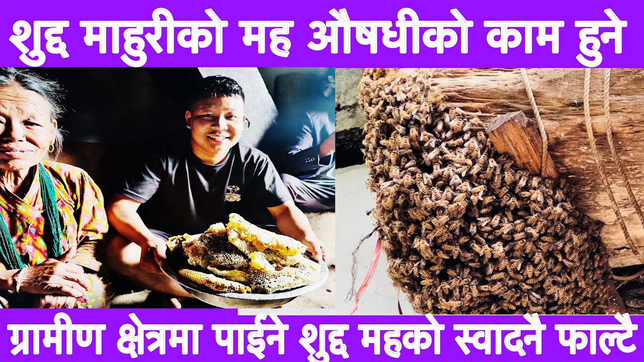 Pure Organic Honey of the bee in Rural Nepal, used for medicine every ...