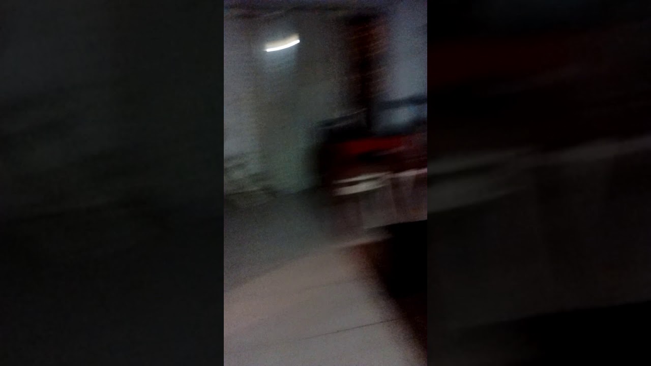 El perro más molesto del mundo😩😂🤣😂🙂🙃😛😉😒 - YouTube