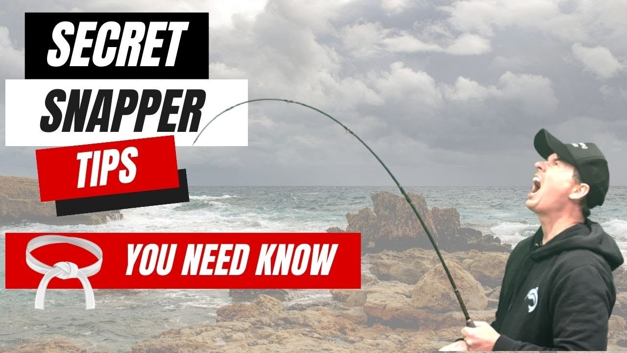 Snapper Tips For Beginners | Part 1 - YouTube