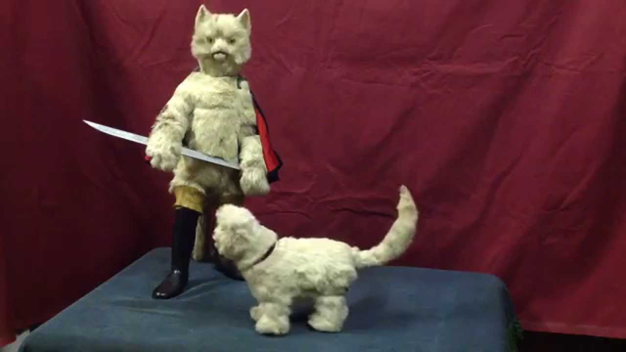 Cat Automata - Puss in Boots - YouTube