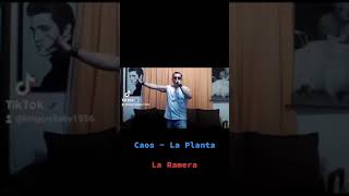 LA RAMERA - CAOS - LA PLANTA 🌴 LA CANCIÓN DEL ESCORPIÓN DORADO 🦂#shorts ...