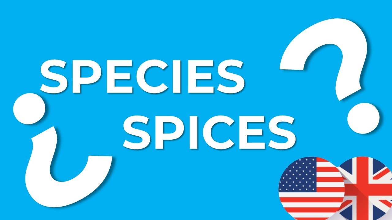 ¿Cuál es la diferencia entre SPECIES y SPICES? - YouTube