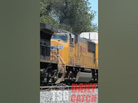 Union Pacific Patched SP #trains #shorts #youtubeshorts #tsgdailycatch 011524 - YouTube