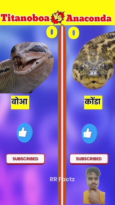 titanoboa vs anaconda full camperison video#shorts #animals #ytshorts # ...