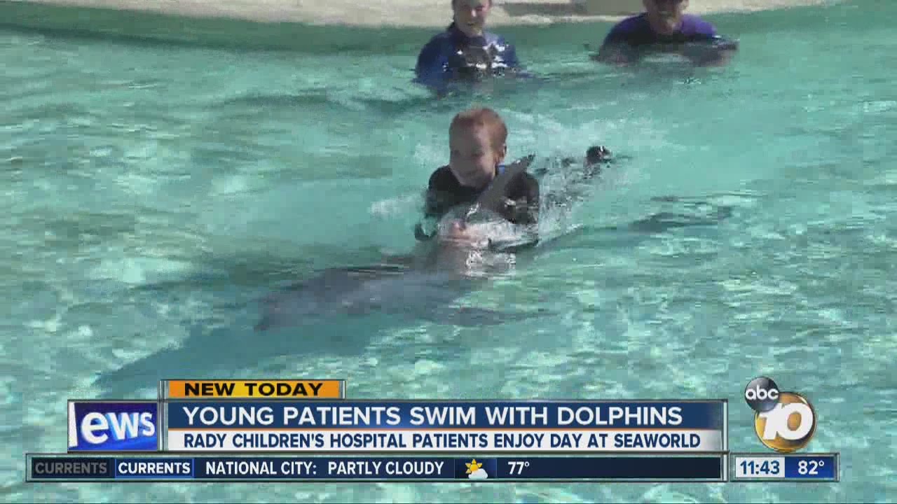 Group of Rady Children's Hospital patients swim with dolphins at ...