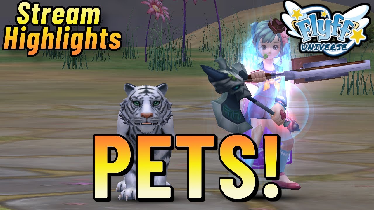 Ab wann lohnt sich ein Pet In Flyff Universe? - YouTube