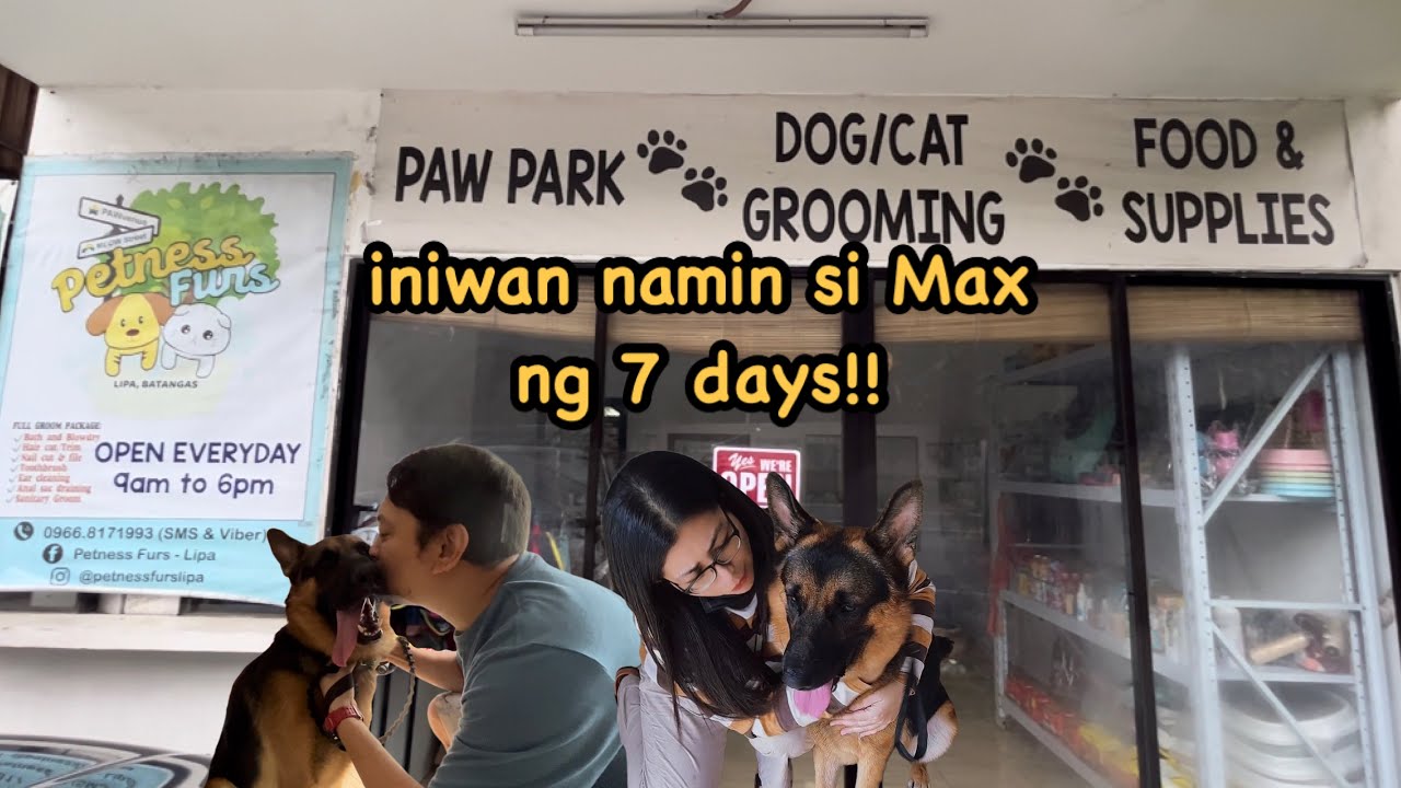 Best Pet Hotel In The World at George Farrow blog