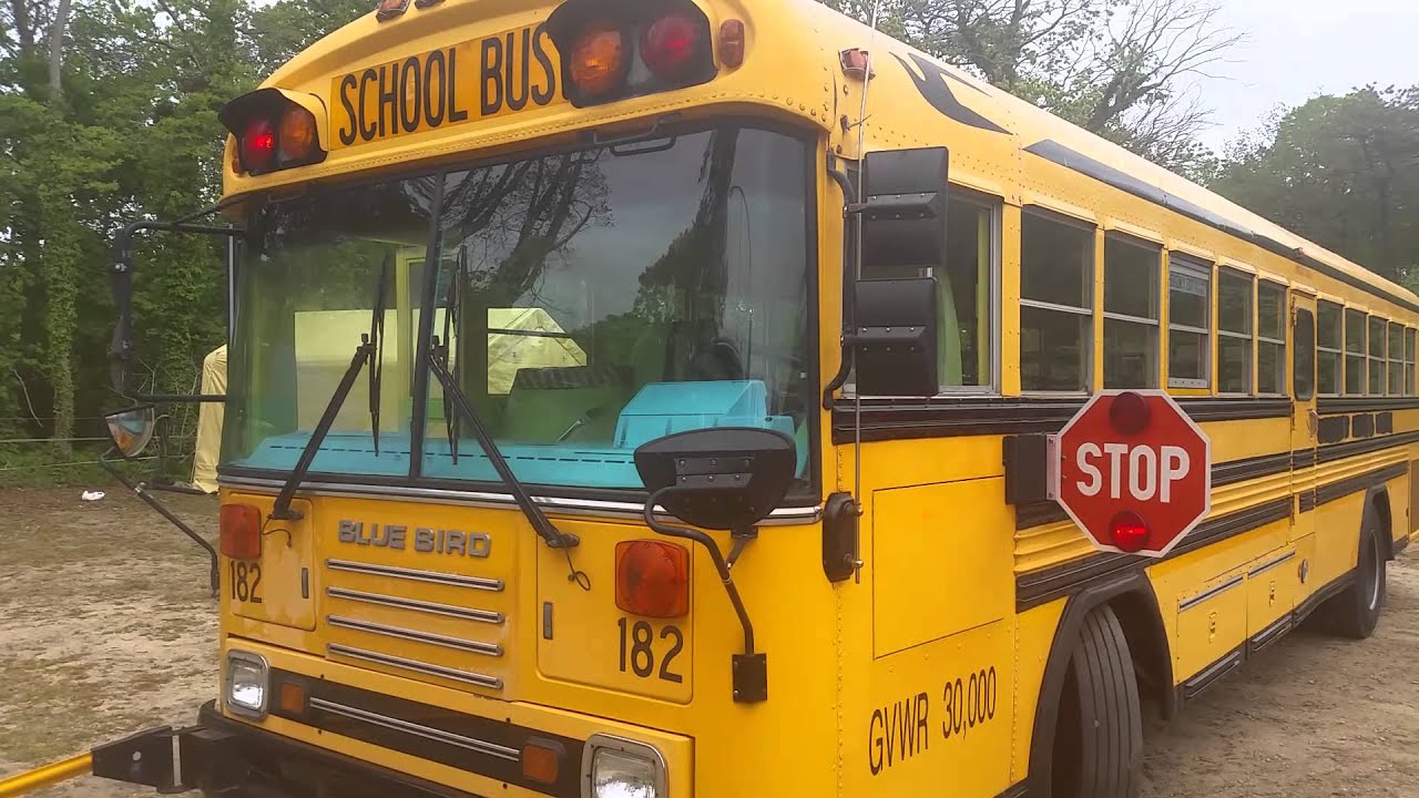 1998 Bluebird for sale - YouTube