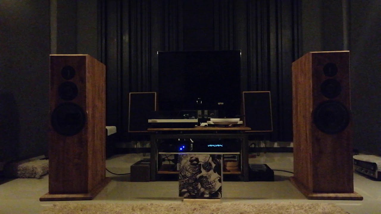 ScanSpeak Revelator 10" Transmission line speaker Driven by Symphonic ...